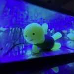 Exclusive Smiski Lamp Buying Guide (2026)